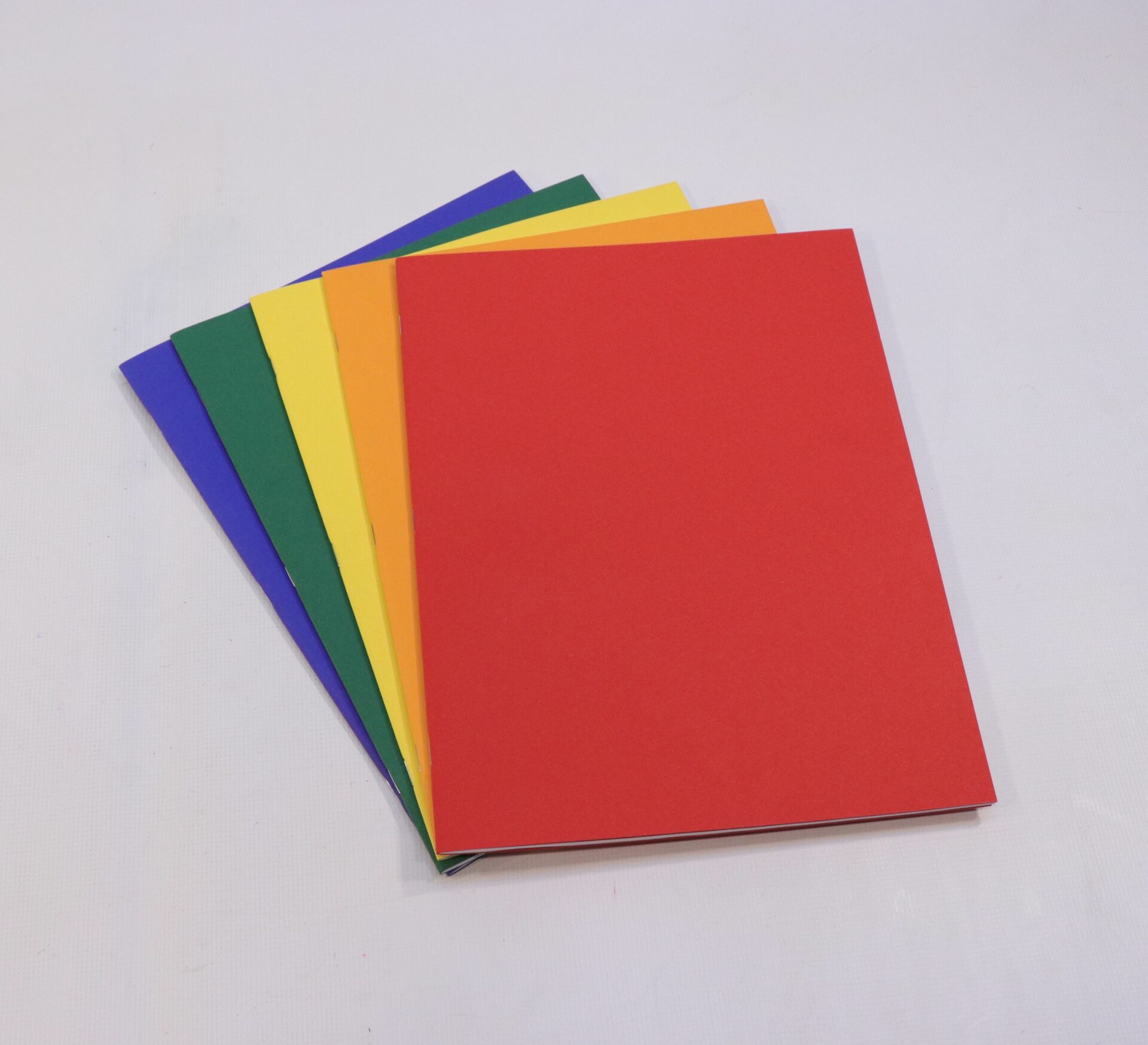 Sedulus Main Lesson Book Oversize A4 Portrait 5 Colour Mix - Honeybee Toys