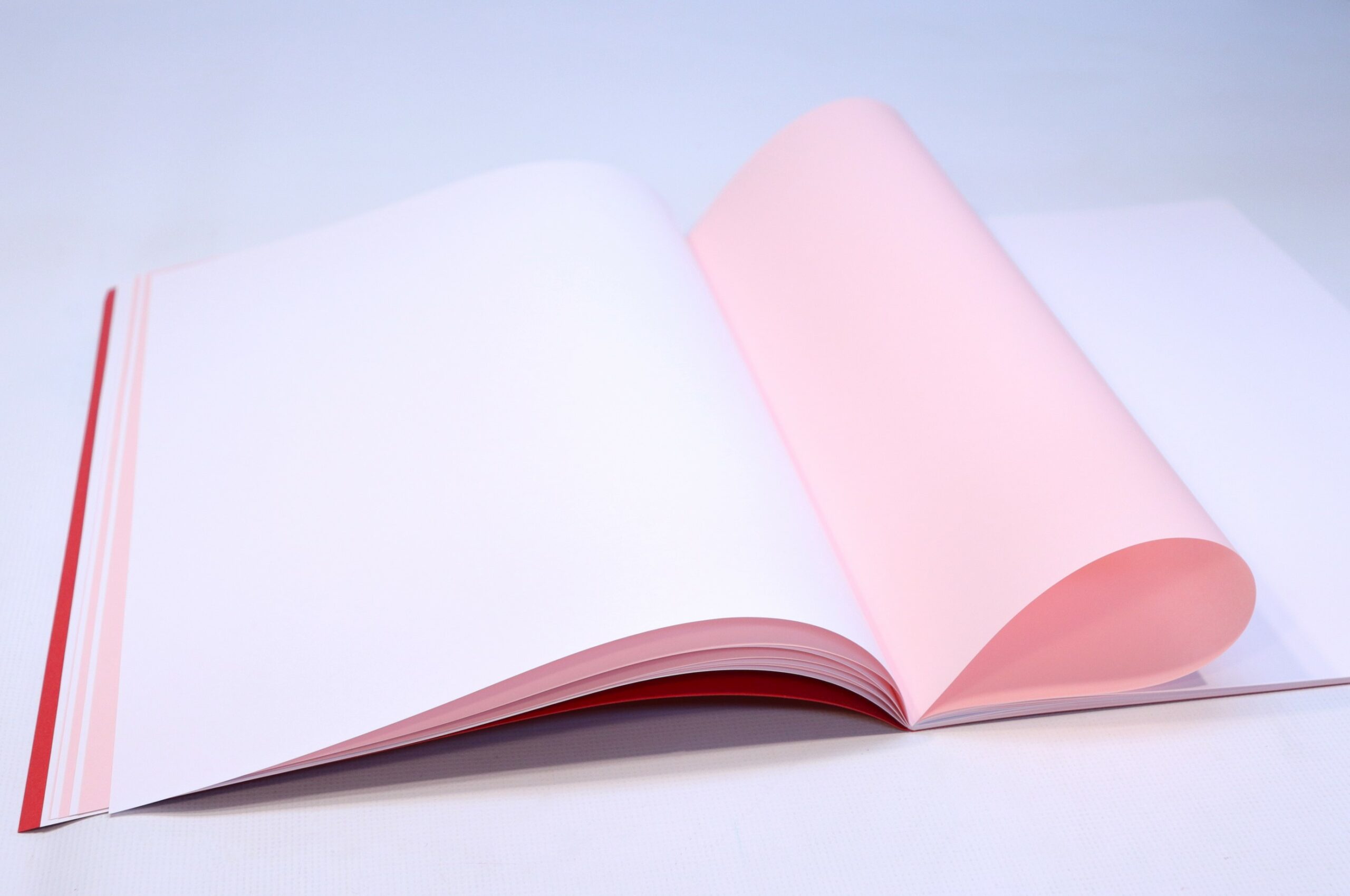 Sedulus Main lesson Book A3 Portrait Red w Tissue - Honeybee Toys